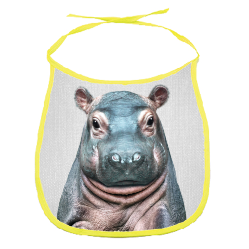 Blue Hippo Lawsuits